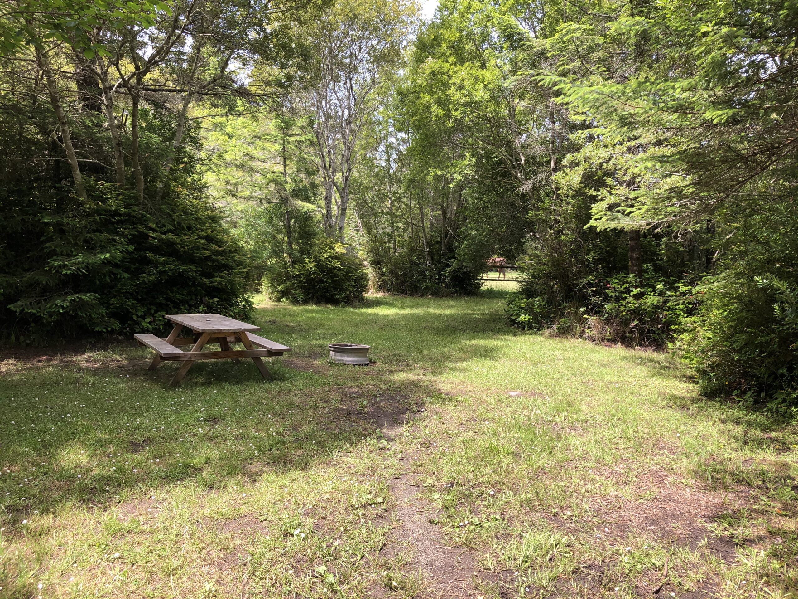 CAMPSITES - Dew Valley Ranch